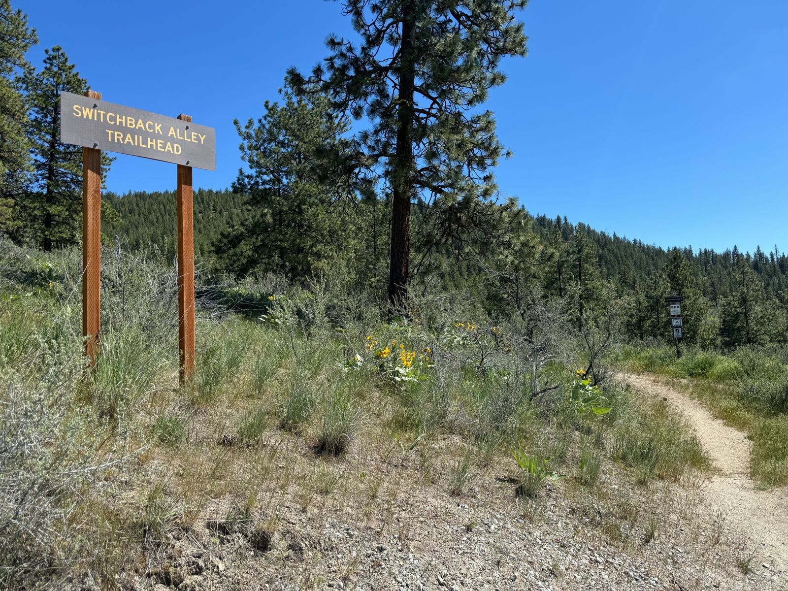 Switchback Alley Trailhead