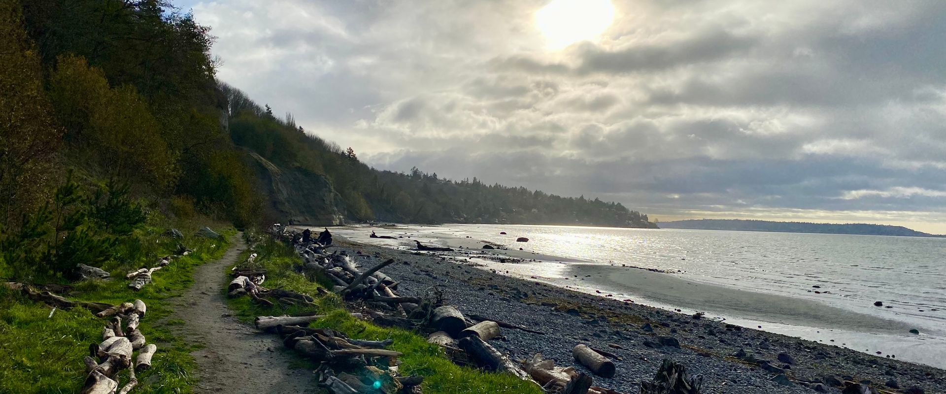Discovery Park Beach Trails