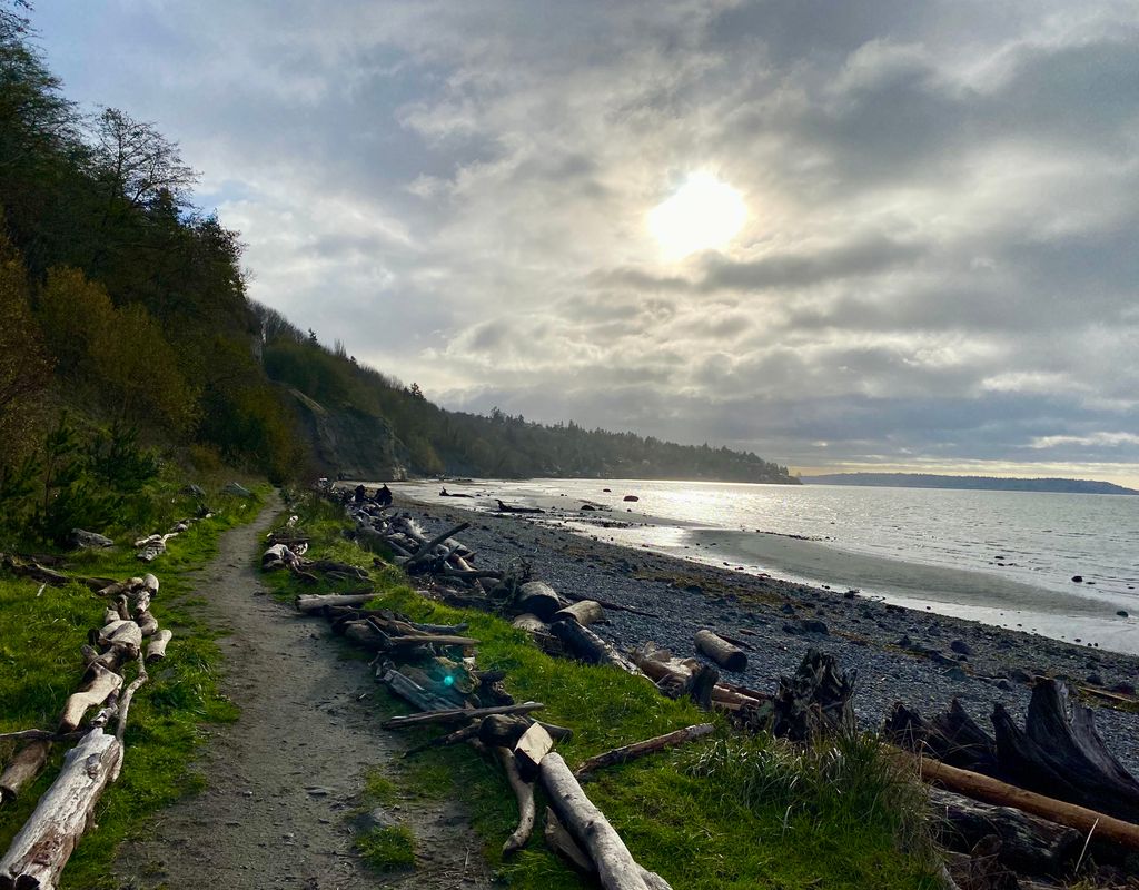 Discovery Park Beach Trails