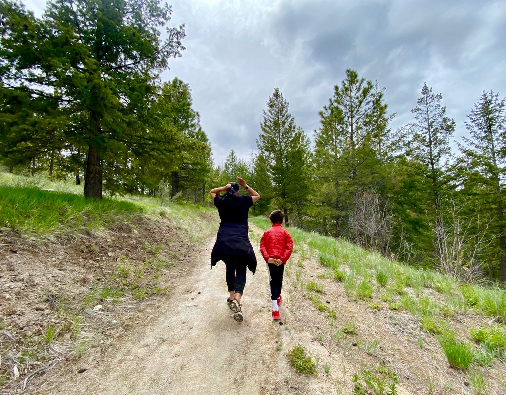 Echo Ridge hike in Manson, Washington