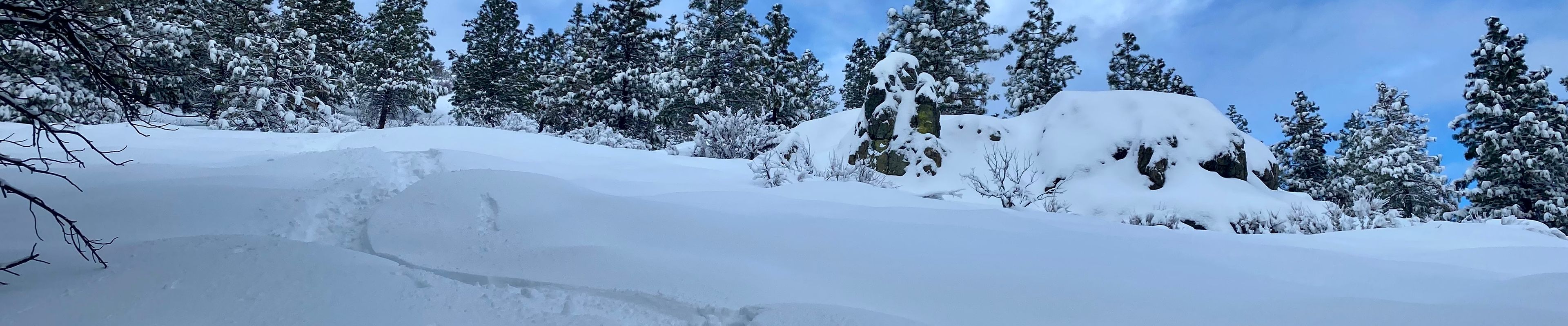 Echo Ridge - Outback ski tour in Manson, Washington