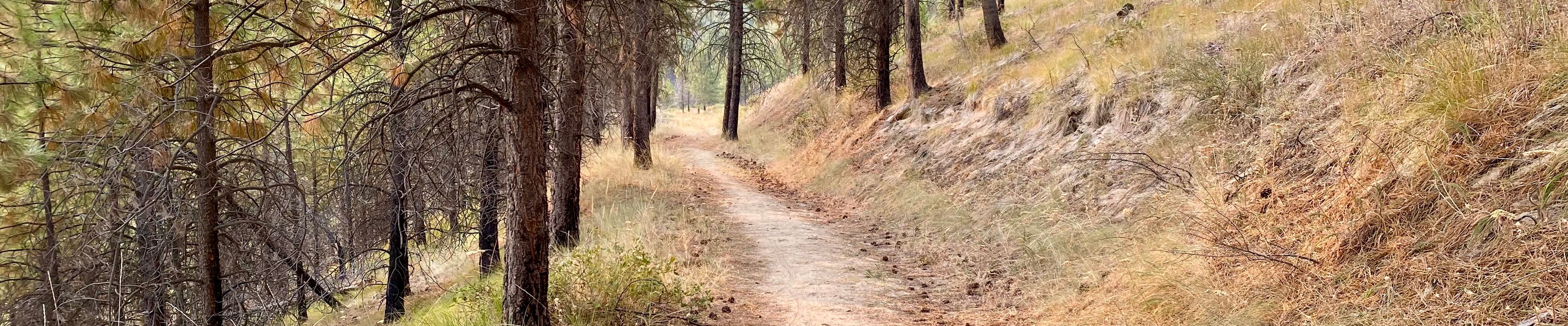 Echo Ridge - Outback