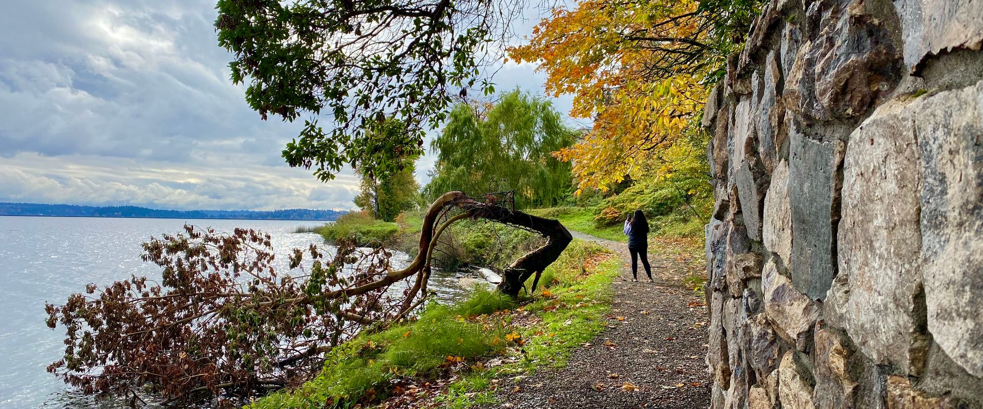 Frink, Leschi and Madrona Parks hike in Seattle, Washington