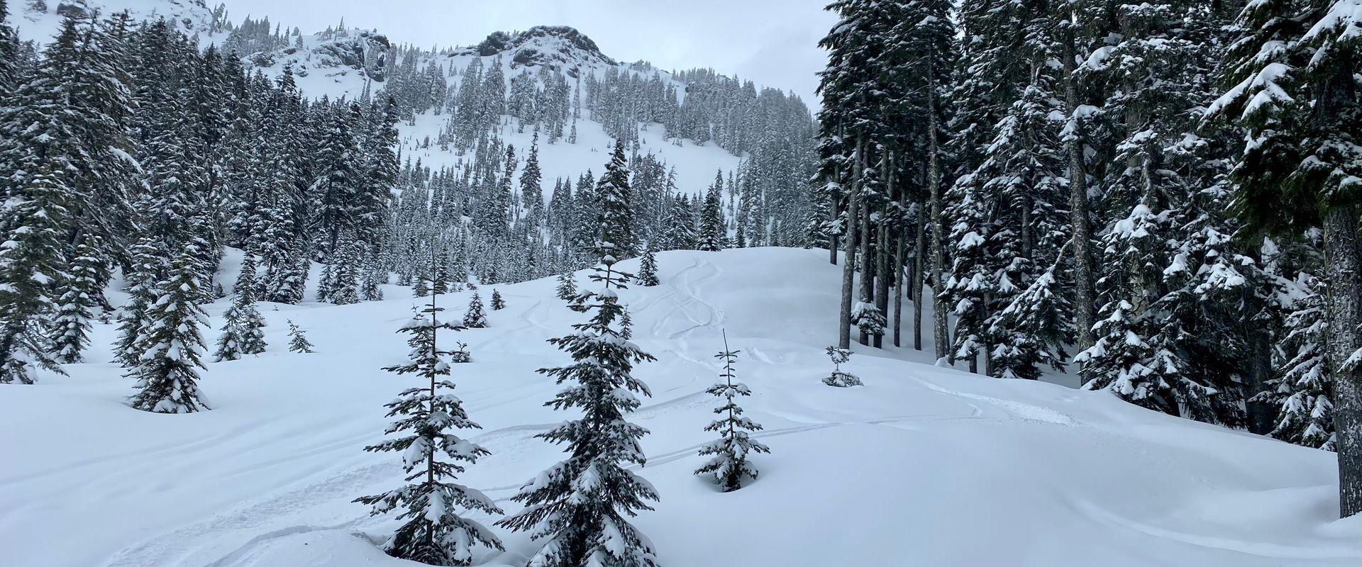 Kendall Trees ski tour in Snoqualmie Pass, Washington