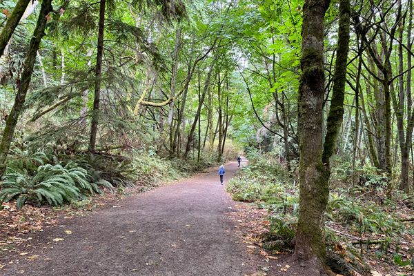 Loop Trail - Discovery Park hike in Seattle, Washington