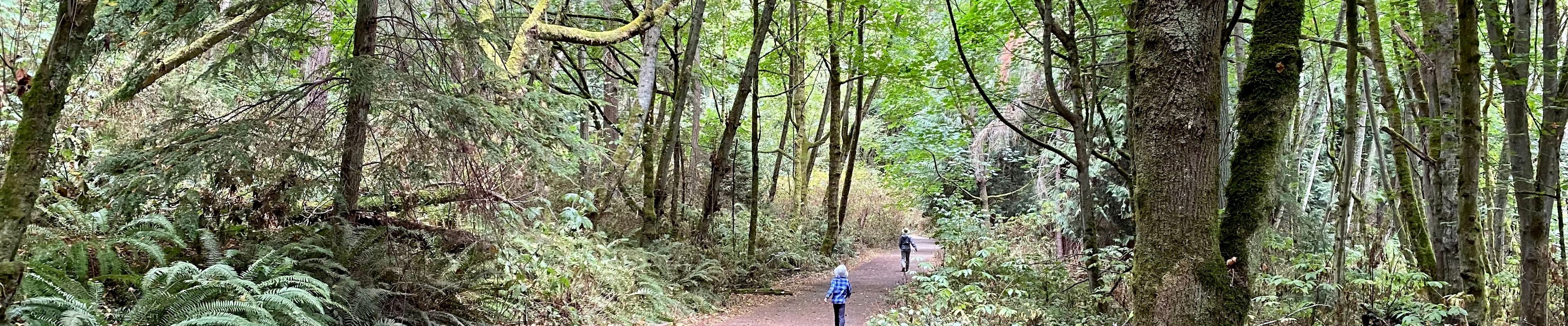 Loop Trail - Discovery Park hike in Seattle, Washington