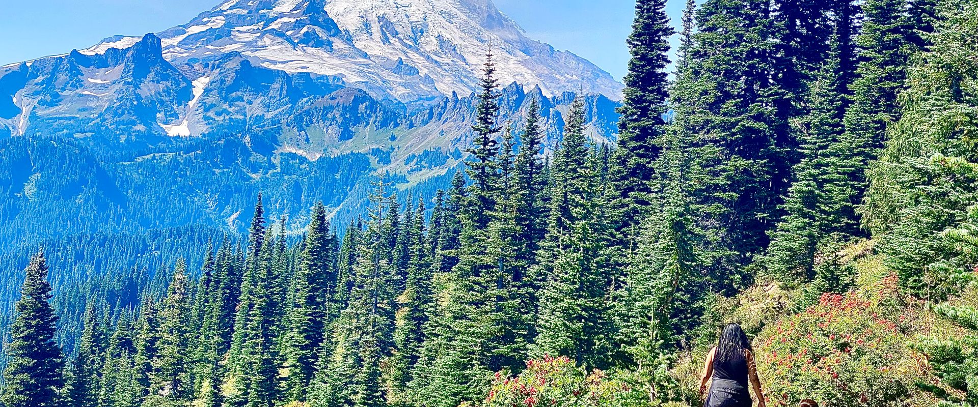Naches Peak Loop Trail hike in Chinook Pass, Washington