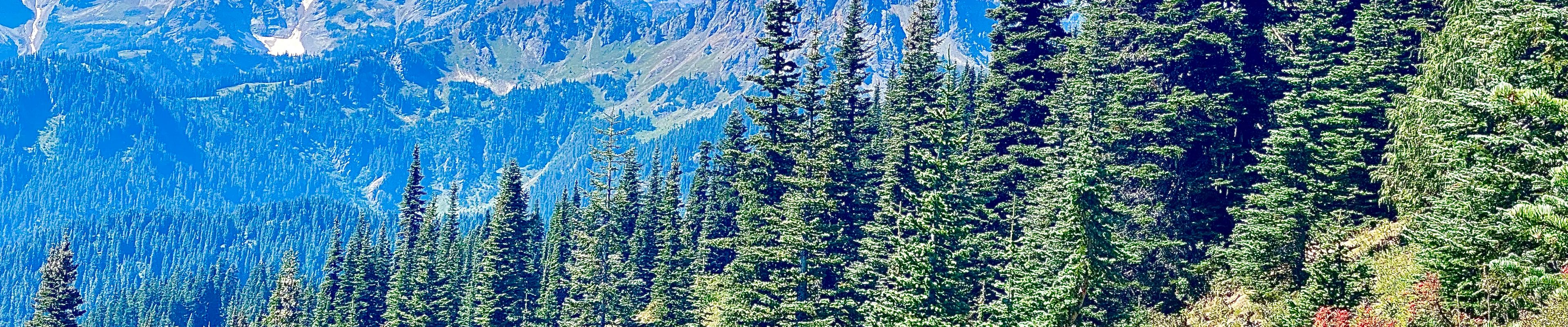 Naches Peak Loop Trail hike in Chinook Pass, Washington