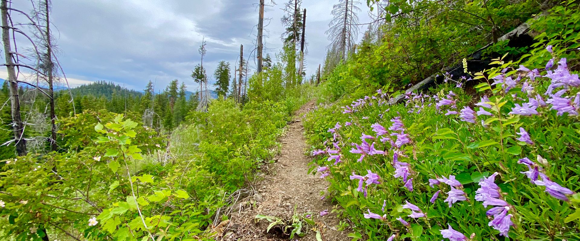 Swauk Discovery Trail
