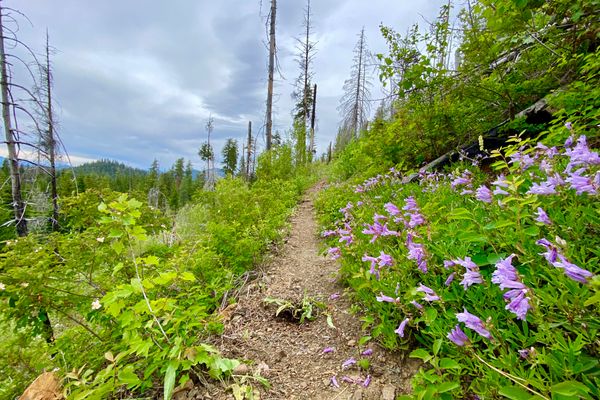 Swauk Discovery Trail