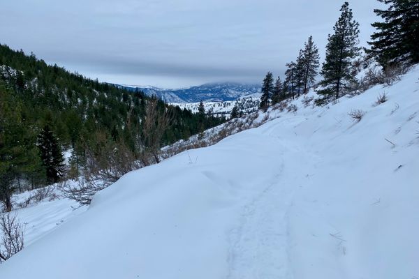 The Shoe - Echo Ridge snowshoe in Manson, Washington