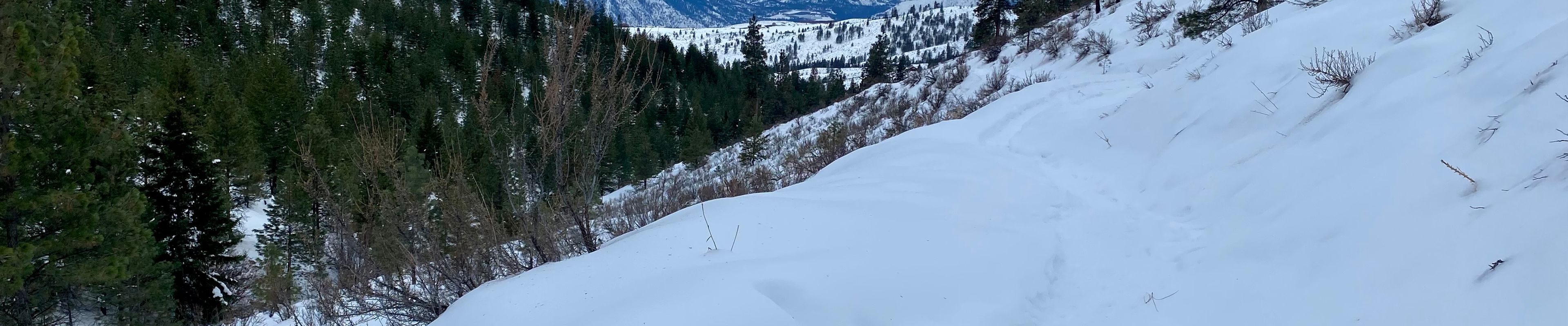 The Shoe - Echo Ridge snowshoe in Manson, Washington