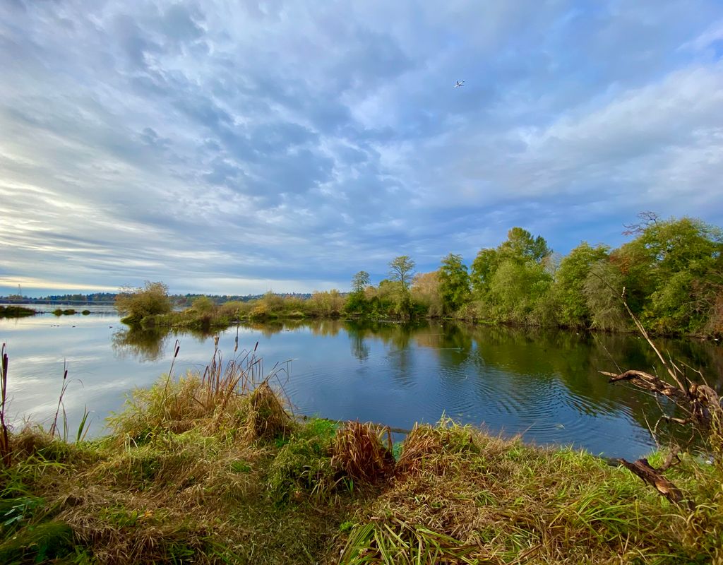 Union Bay Natural Area hike in Seattle, Washington