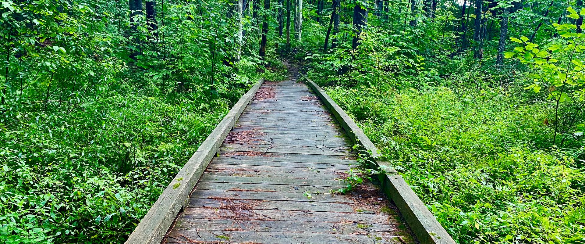Wolcott Family Natural Area