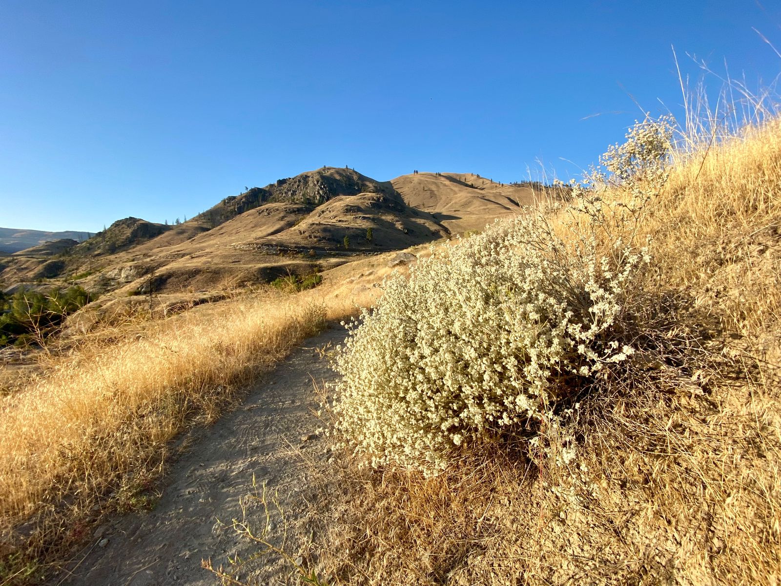 Coyote Loop hike in Chelan, Washington