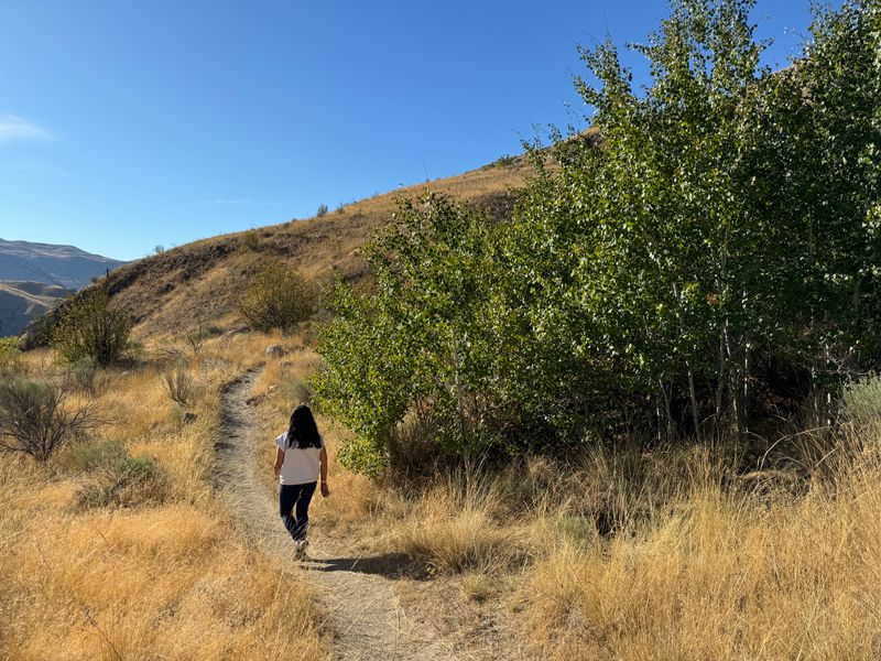 Coyote Loop hike in Chelan, Washington
