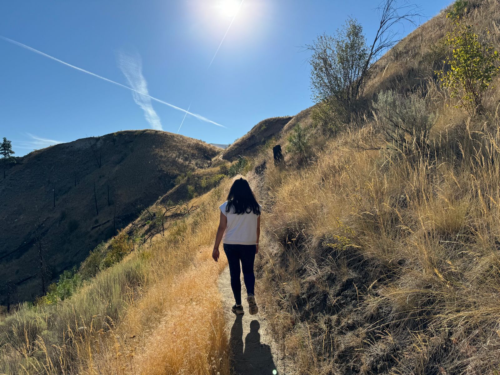 Coyote Loop hike in Chelan, Washington