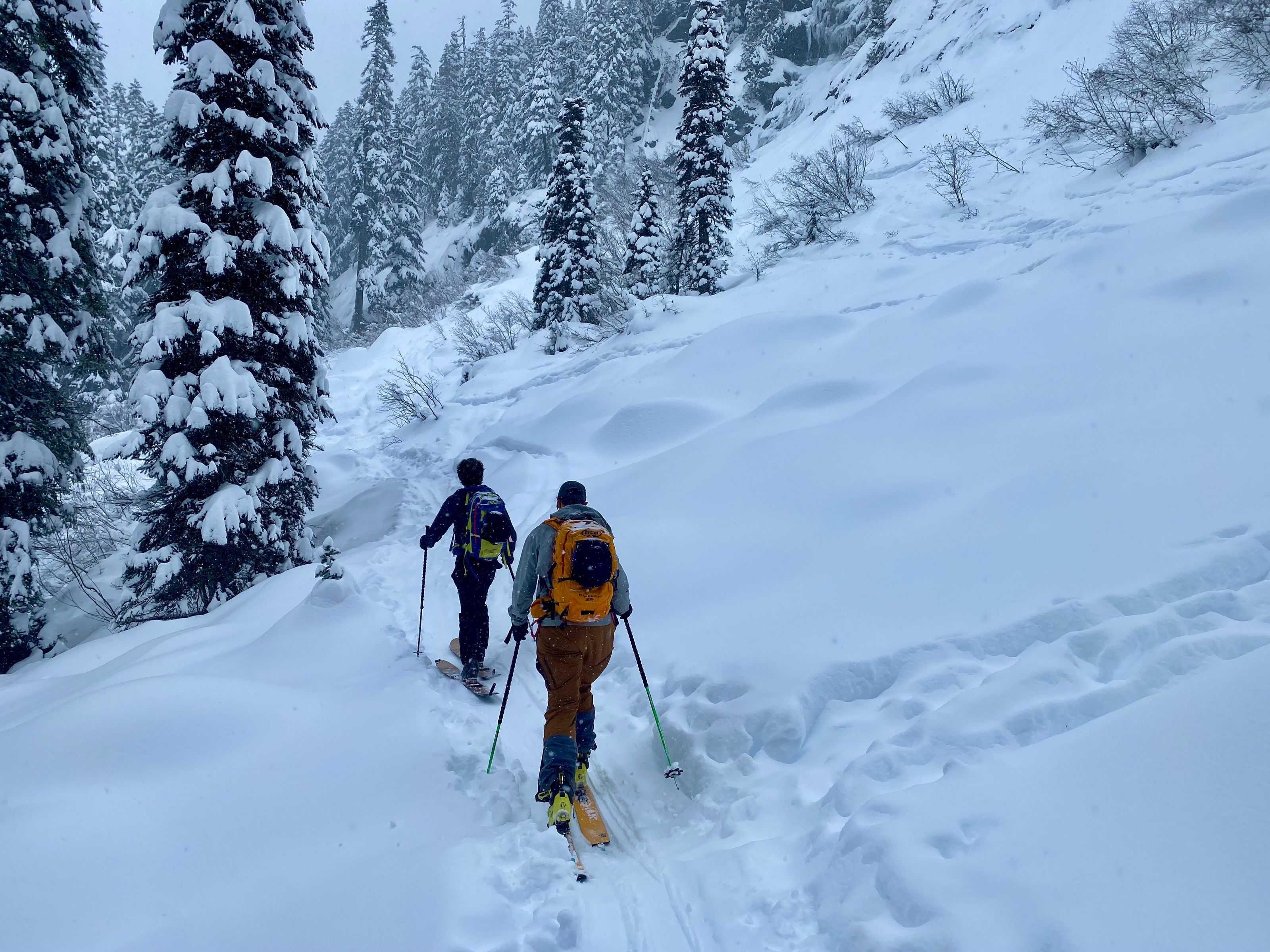 Kendall Trees ski tour in Snoqualmie Pass, Washington