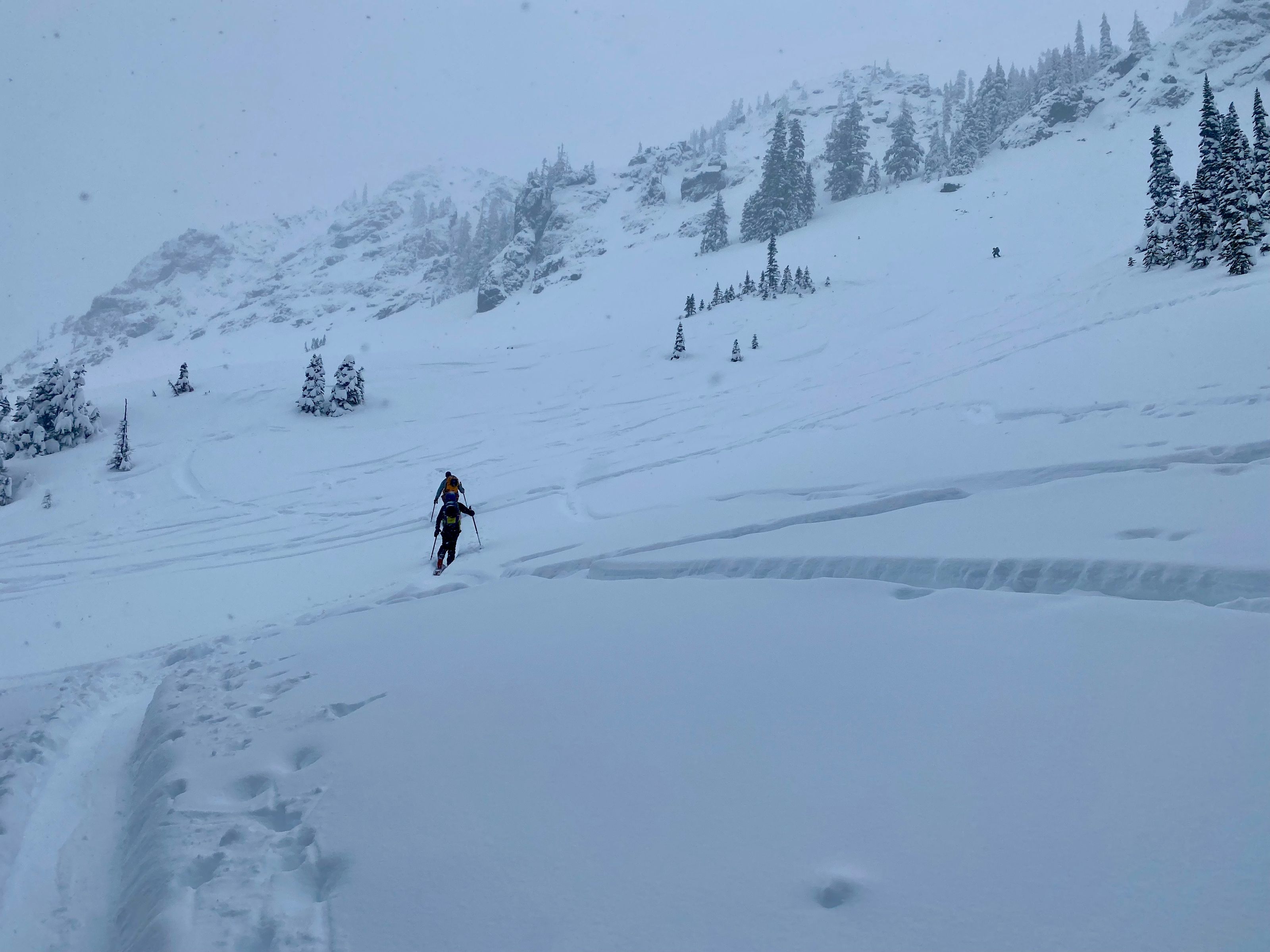 Kendall Trees ski tour in Snoqualmie Pass, Washington