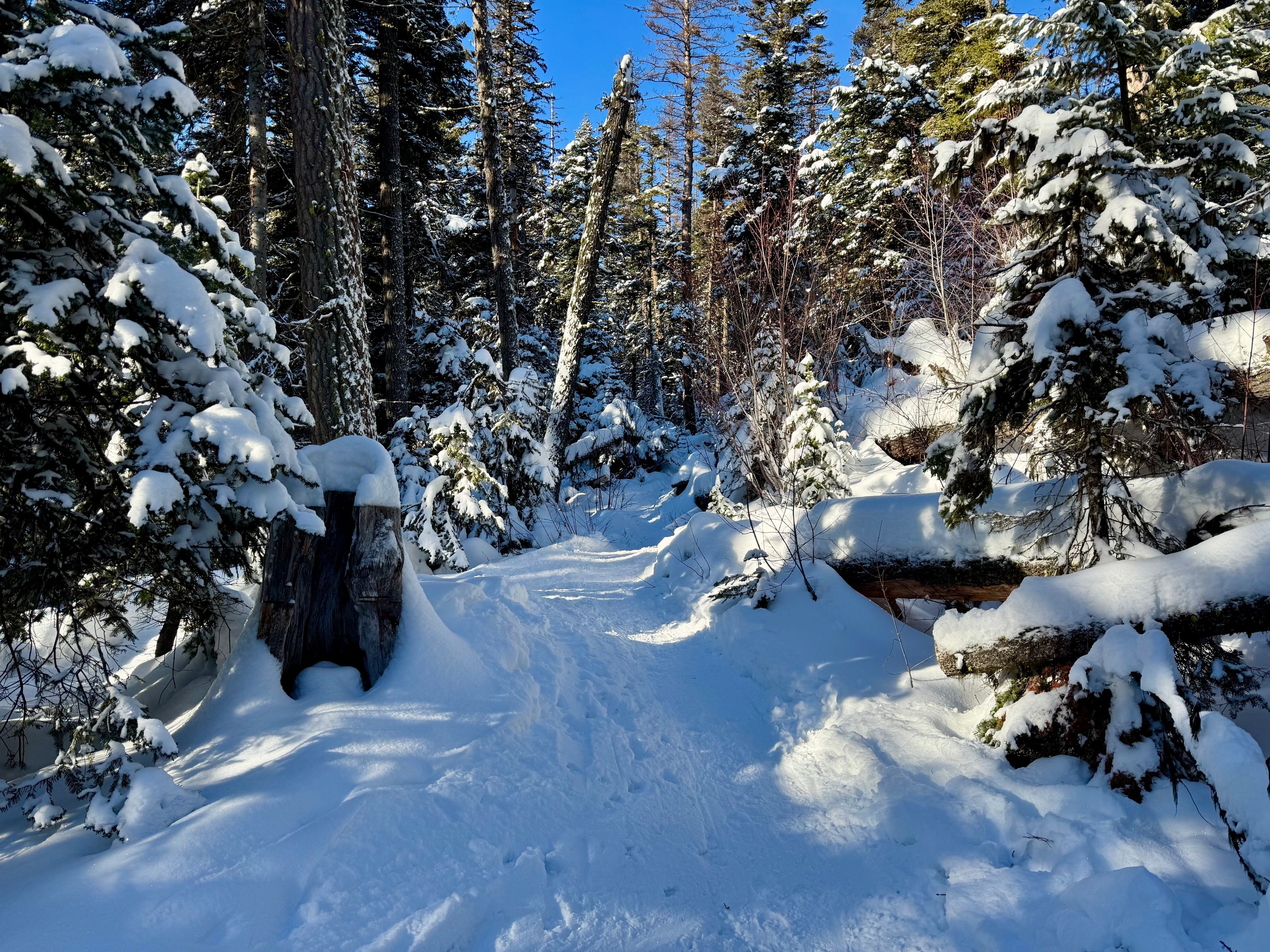 Marion Lake ski tour in Wenatchee, Washington