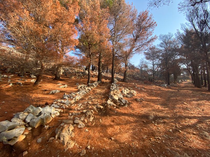 Monte Gallo hike in Palermo, Italy