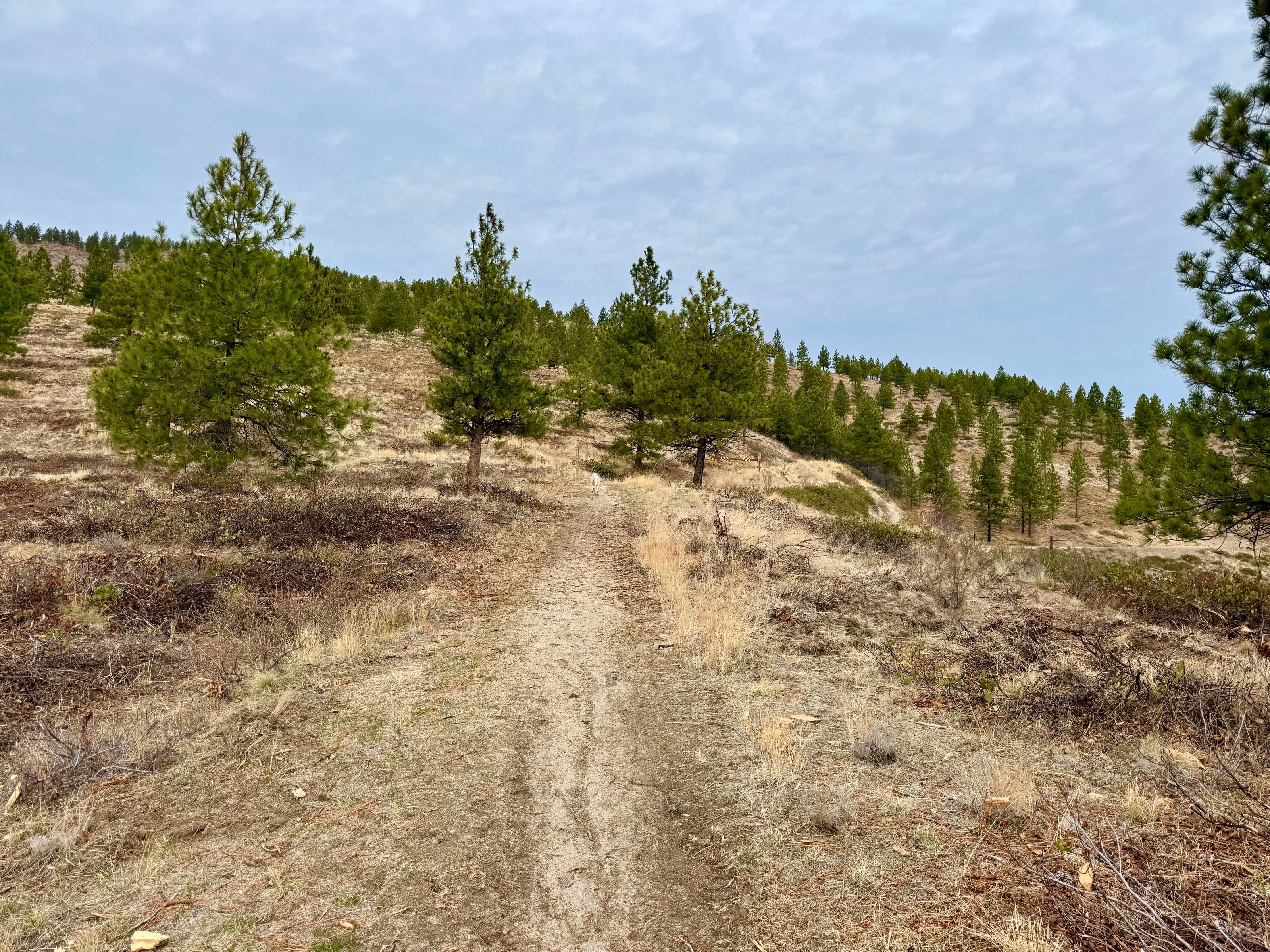 Outback hike in Manson, Washington