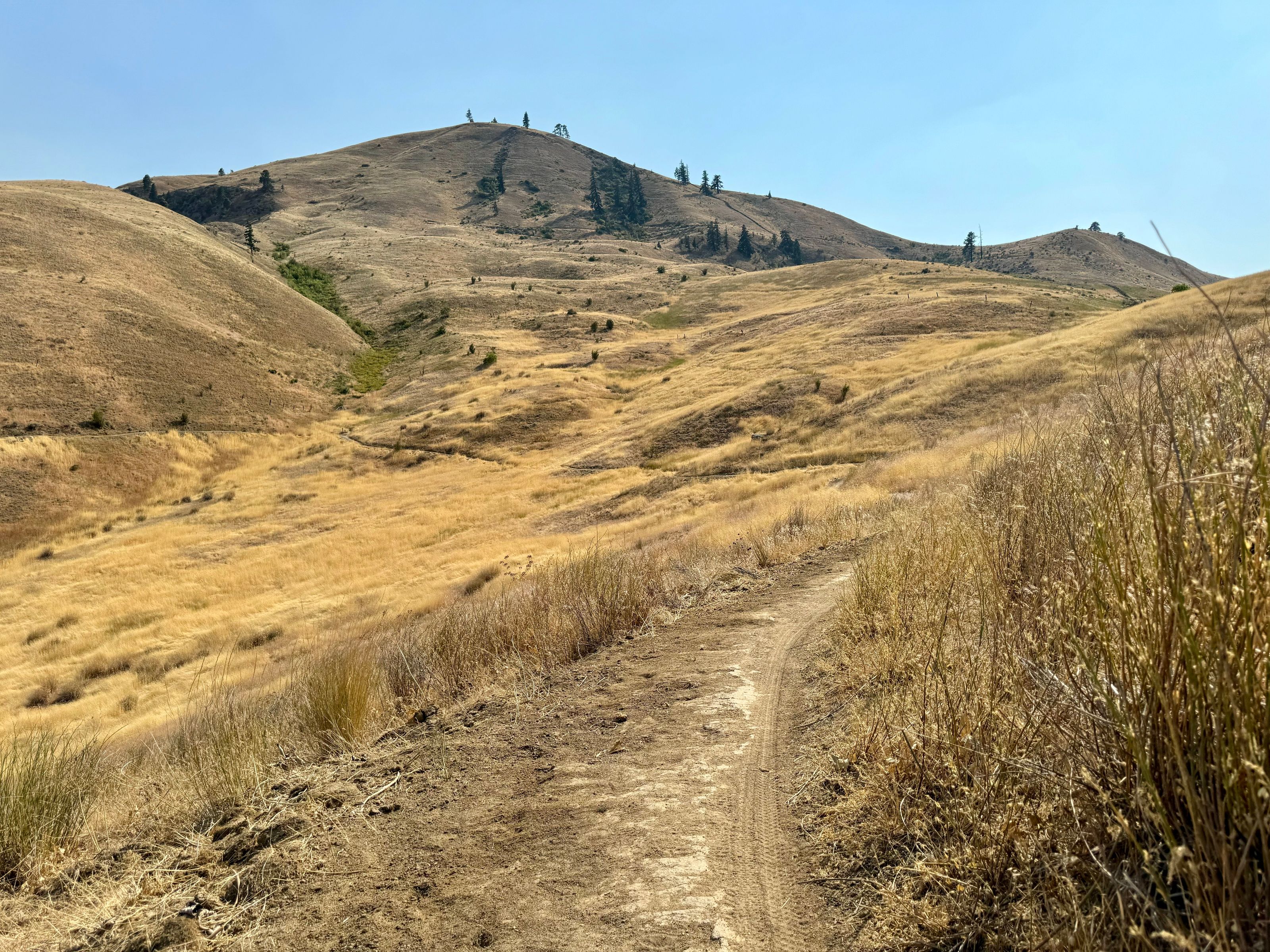 Sage Hills Trail hike in Wenatchee, Washington