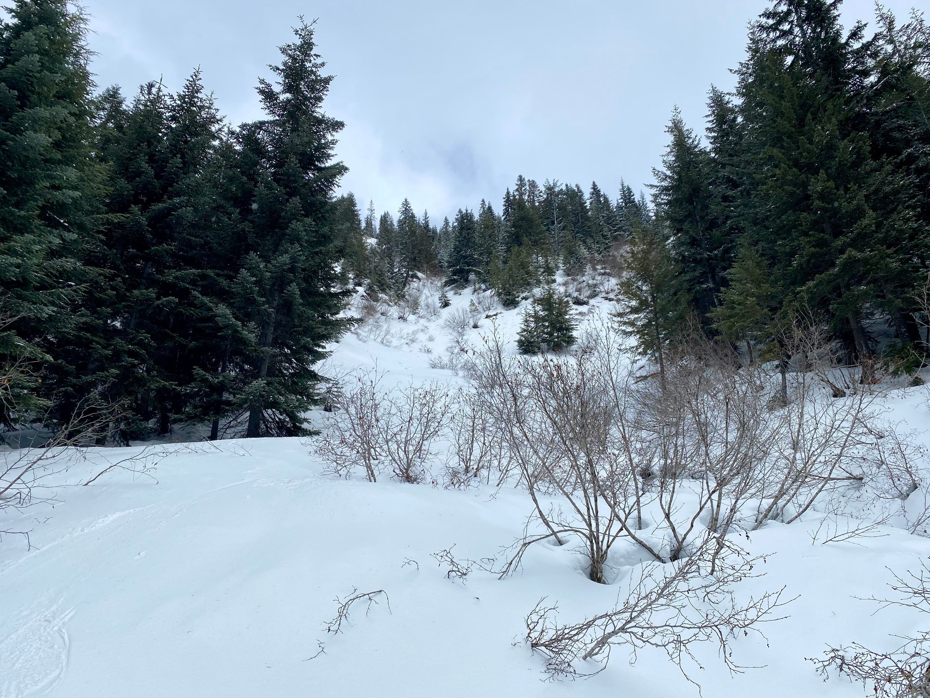 Skyline ski tour in Stevens Pass, Washington