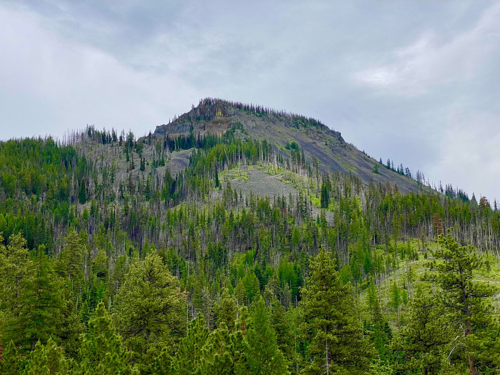 Swauk Discovery Trail