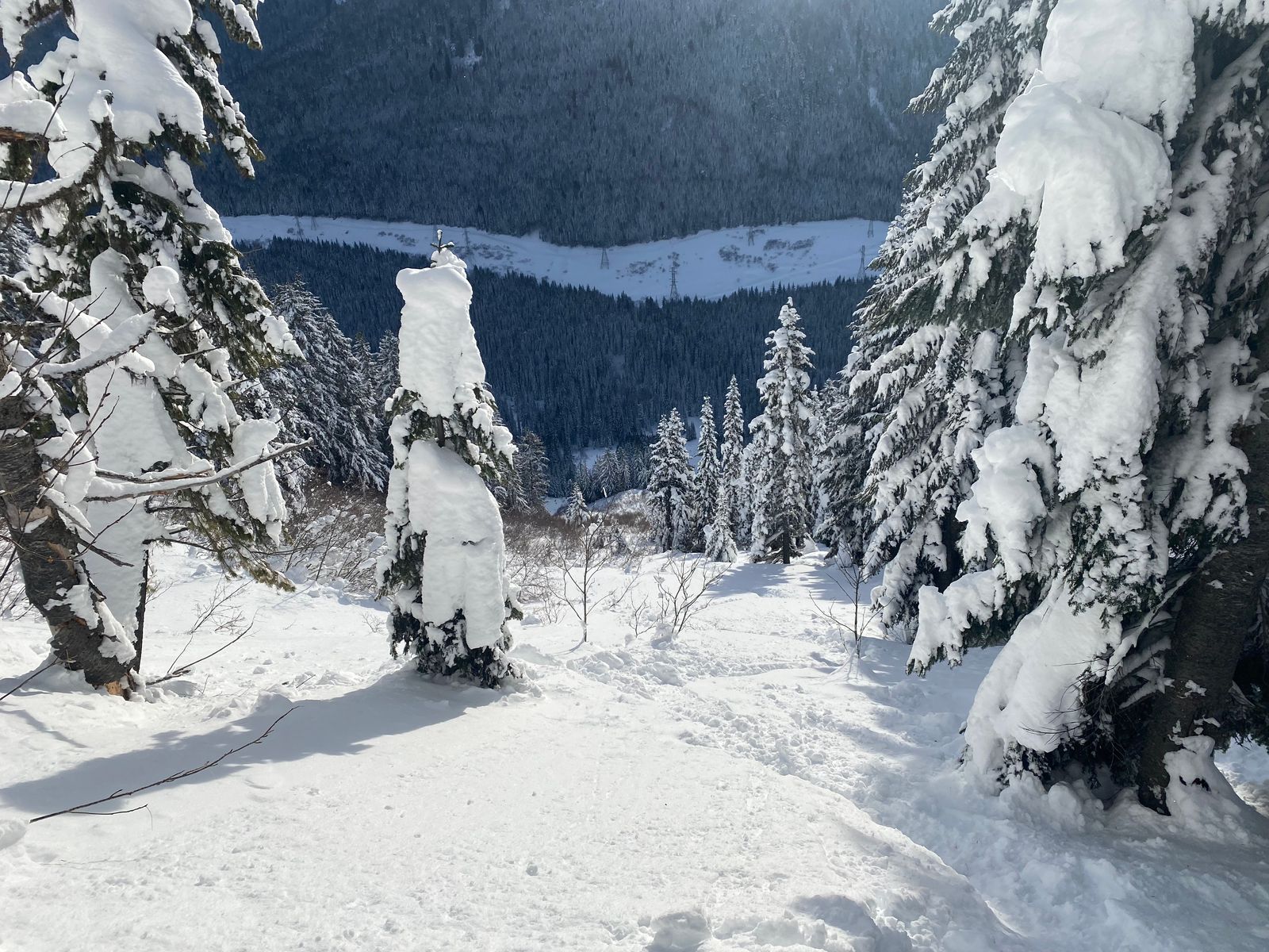 Yodelin ski tour in Stevens Pass, Washington